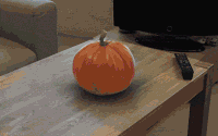 Gourd GIFs - Get the best gif on GIFER