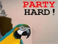 Festas GIF - Conseguir el mejor gif en GIFER