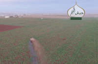Syria GIFs - Get the best gif on GIFER