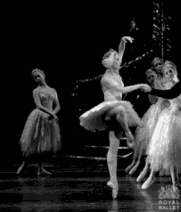 Drama GIFs - Get the best gif on GIFER