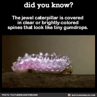 Jewel GIFs - Get the best gif on GIFER