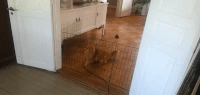 Abo GIFs - Get the best gif on GIFER