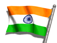 Saffron GIFs - Get the best gif on GIFER