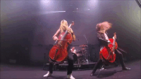 Cello GIFs - Get the best gif on GIFER