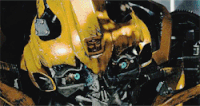 Bumblebee GIFs - Get the best gif on GIFER