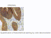 Processamento GIF - Conseguir o melhor gif em GIFER