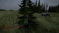 Dayz GIFs - Get the best gif on GIFER