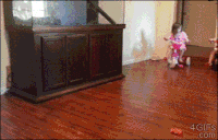 Tricycle GIFs - Get the best gif on GIFER