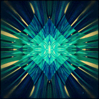 Symmetrical GIFs - Get the best gif on GIFER
