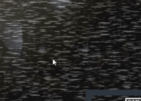 Five GIFs - Get the best gif on GIFER