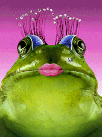 Frogs GIFs - Get the best gif on GIFER