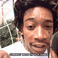 Excuse my awful hashtags GIF - Conseguir o melhor gif em GIFER