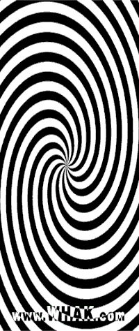 Wheel GIFs - Get the best gif on GIFER