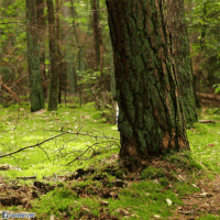 Missingno GIFs - Get the best gif on GIFER