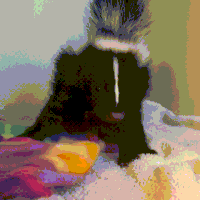 Skunk GIFs - Get the best gif on GIFER