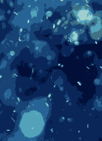 Flurry GIFs - Get the best gif on GIFER