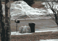 Garbage GIFs - Get the best gif on GIFER