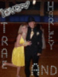 Wolfpack GIFs - Get the best gif on GIFER