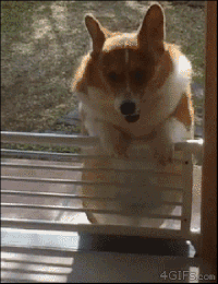 Productivity GIFs - Get the best gif on GIFER