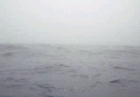 Foggy GIFs - Get the best gif on GIFER