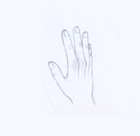 Hand GIFs - Get the best gif on GIFER