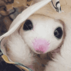 Sugar baby GIF - Conseguir o melhor gif em GIFER