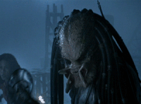 Predator GIFs - Get the best gif on GIFER