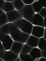 Caustics GIFs - Get the best gif on GIFER