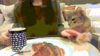 Croissant GIFs - Get the best gif on GIFER