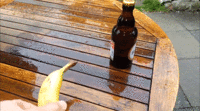 Cerveja GIF - Conseguir o melhor gif em GIFER