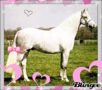 Kop GIFs - Get the best gif on GIFER