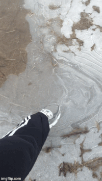 Toes GIFs - Get the best gif on GIFER