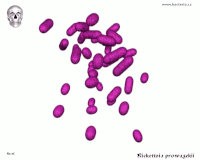 Bacteria GIFs - Get the best gif on GIFER