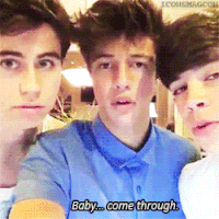 Hay GIFs - Get the best gif on GIFER