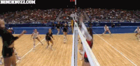 Bump GIFs - Get the best gif on GIFER