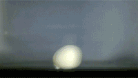 Microondas GIF - Conseguir el mejor gif en GIFER