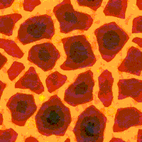 Texture GIFs - Get the best gif on GIFER