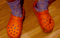 Crocs GIFs - Get the best gif on GIFER