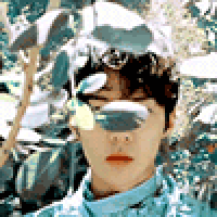 Nb GIFs - Get the best gif on GIFER