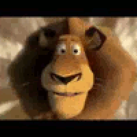 Madagascar GIFs - Get the best gif on GIFER