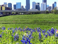 Bayou GIFs - Get the best gif on GIFER