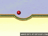 Active GIFs - Get the best gif on GIFER