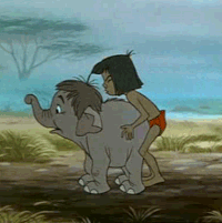 Mowgli GIFs - Get the best gif on GIFER