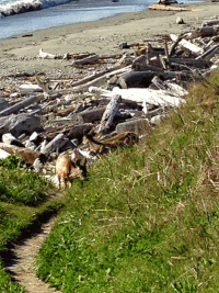 Hike GIFs - Get the best gif on GIFER