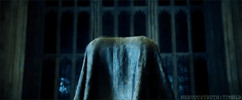 Punching cat GIF - Conseguir o melhor gif em GIFER