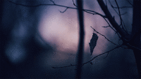 Night GIFs - Get the best gif on GIFER