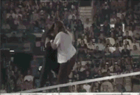 Mick pointer GIF - Conseguir o melhor gif em GIFER