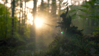 Forest GIFs - Get the best gif on GIFER
