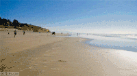 Playa GIFs - Get the best gif on GIFER