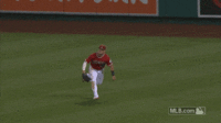 Baseball GIFs - Get the best gif on GIFER